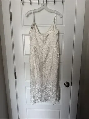 Db Studio | Dresses | Paisley Lace Illusion Sheath Dress With Sheer Hem ...